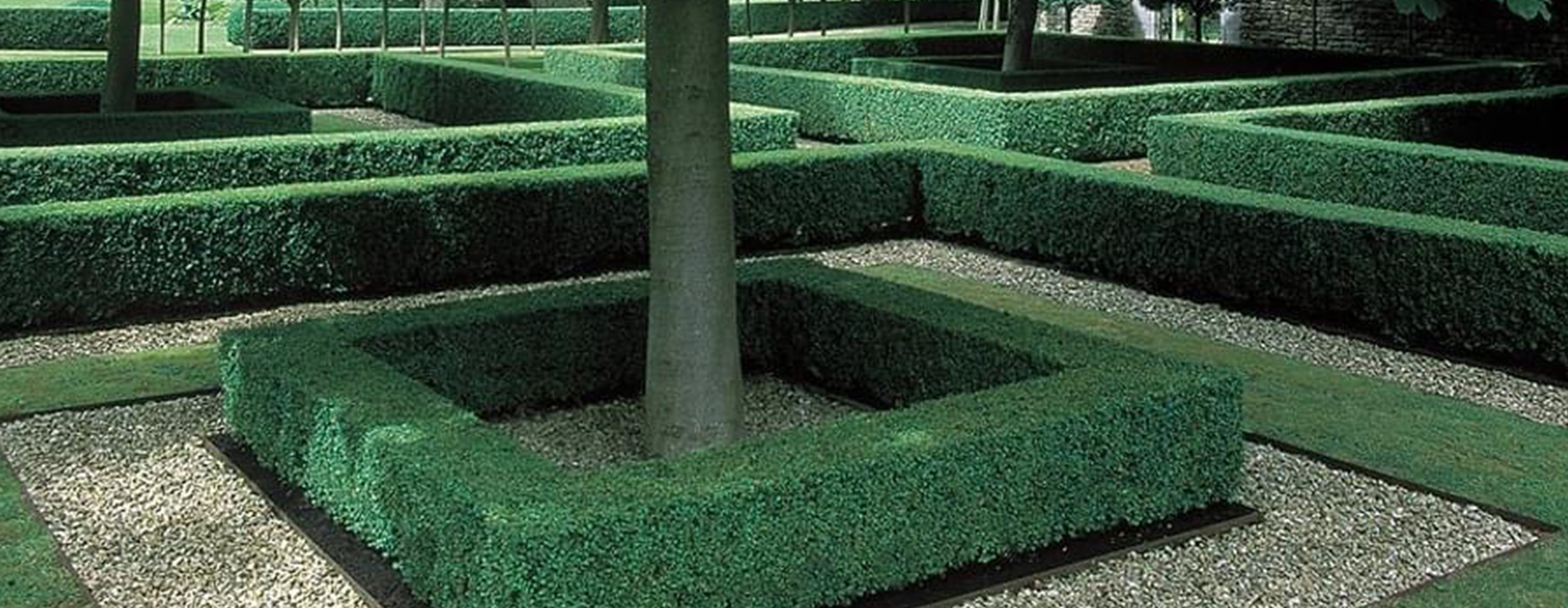 Contact - Landscape Construction Group | Future proofing